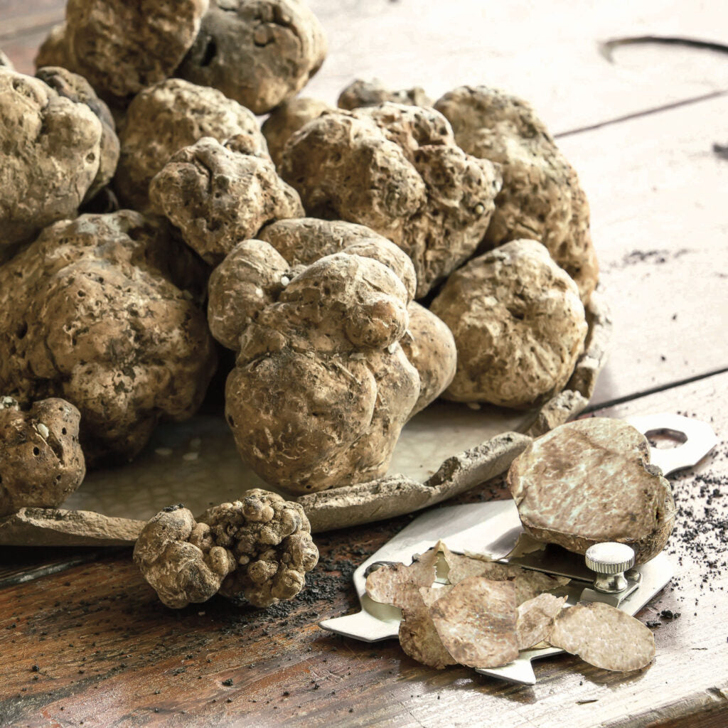 Crema de Trufa: Historia, usos y recetas para enamorarte de nuestro pr ...
